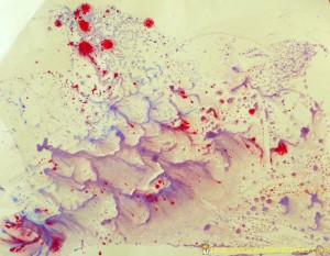 Baking Soda Painted Apple Art | Inspiration Laboratories