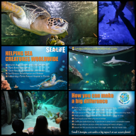 Sea Life Aquarium and Ocean Education | Inspiration Laboratories