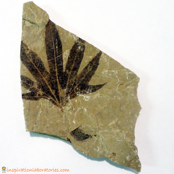R is for Rocks | Inspiration Laboratories