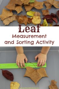 Leaf Measurement and Sorting Activity | Inspiration Laboratories
