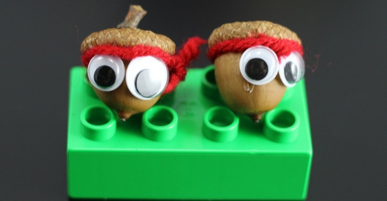 Acorn Ninjas Craft and Stop Motion Video | Inspiration Laboratories