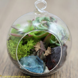 Make a Terrarium Ornament with Kids | Inspiration Laboratories