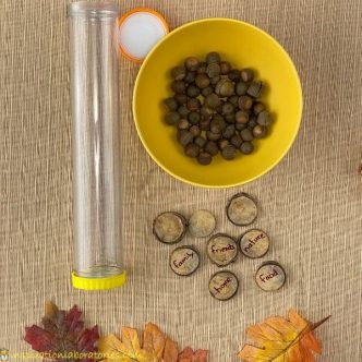 Acorn Sensory Bottle for Thanksgiving | Inspiration Laboratories