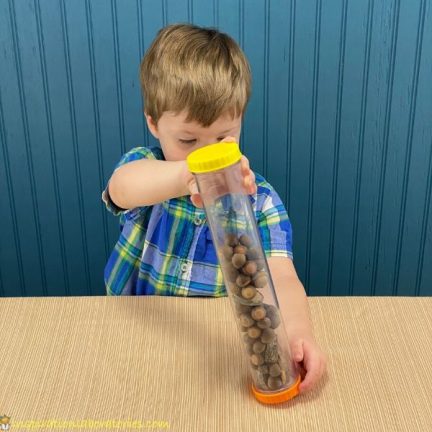 Acorn Sensory Bottle for Thanksgiving | Inspiration Laboratories