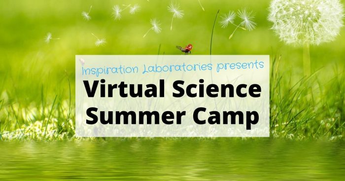 Virtual Science Summer Camp | Inspiration Laboratories