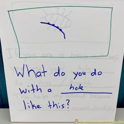 Animal Adaptation Lesson | Inspiration Laboratories